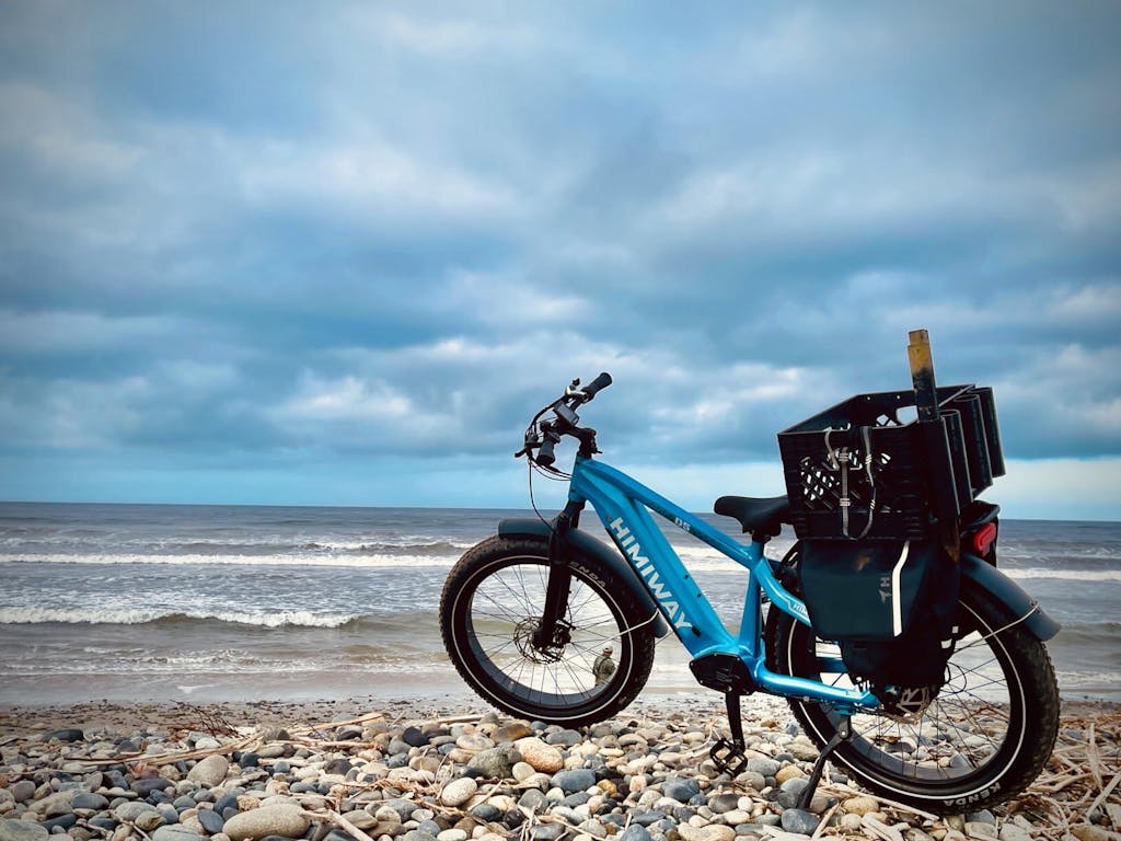 Himiway D5 Pro Torque-Sensing All-Terrain Fat Tire eBike