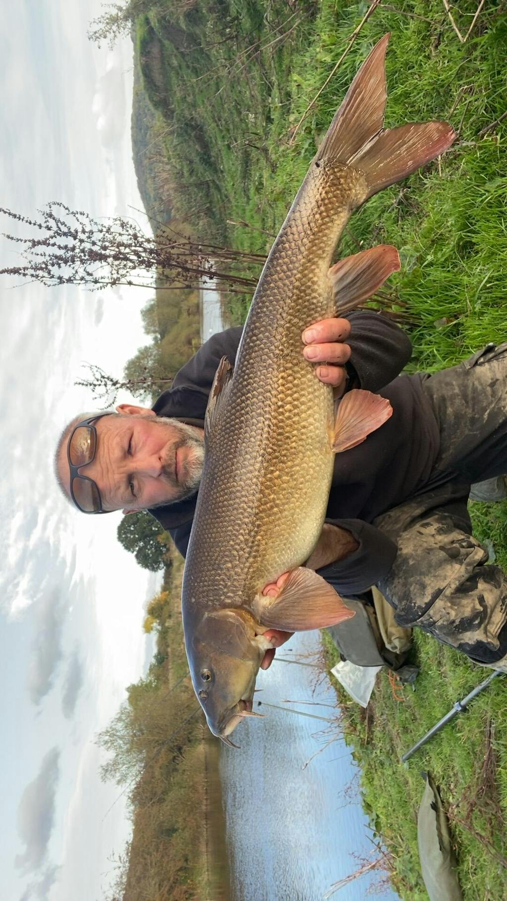 Hinders Elips Pellets - Hinders Baits