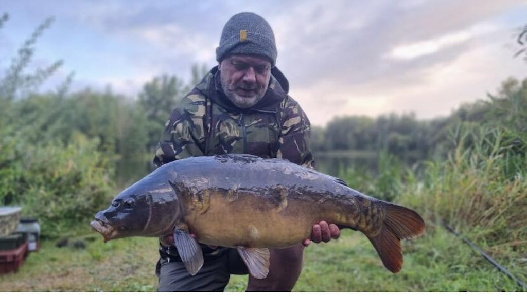 Particle Baits from Hinders Bait - Hinders Baits