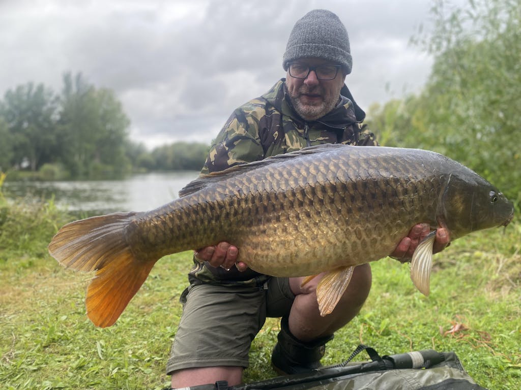 Particle Baits from Hinders Bait - Hinders Baits