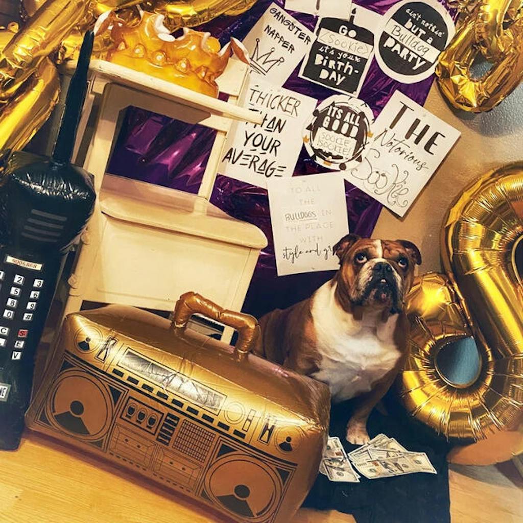 Nothing But a Three Thang Birthday Decorations Bundle – HiphopBoutiq