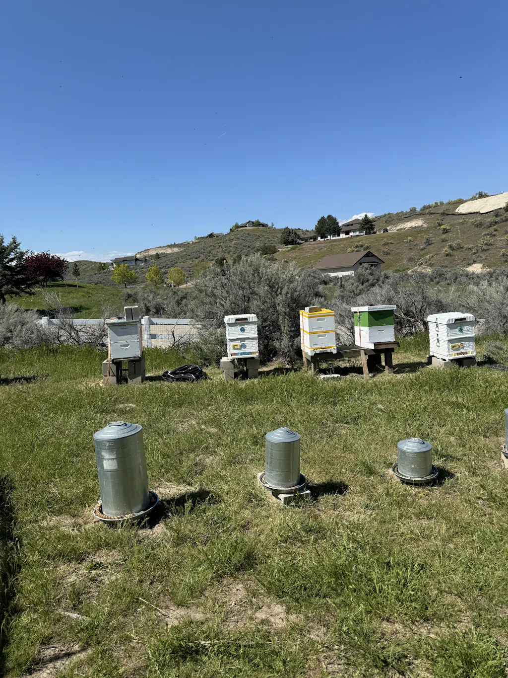 USA Beehive Kit - Three Story - HiveIQ US