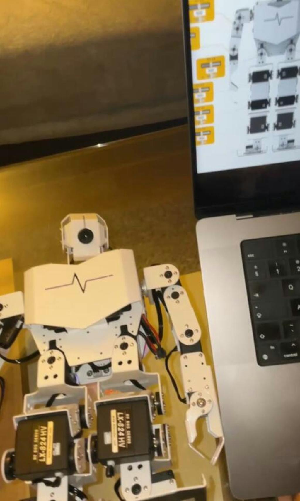 Hiwonder TonyPi AI Humanoid Robot Powered by Raspberry Pi 5 with Multi