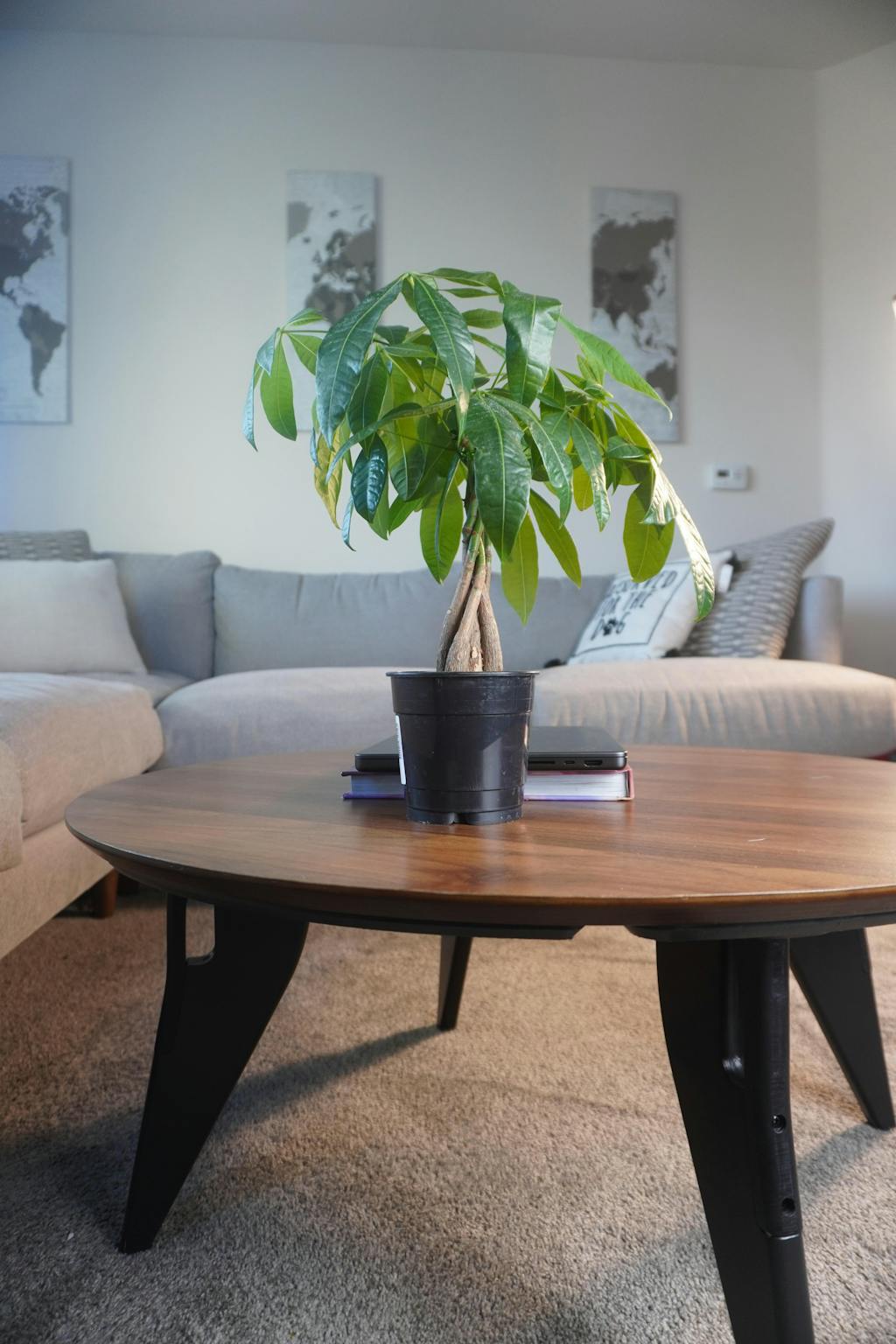 The Round Coffee Table – Hoek Home: Furniture, Simplified.