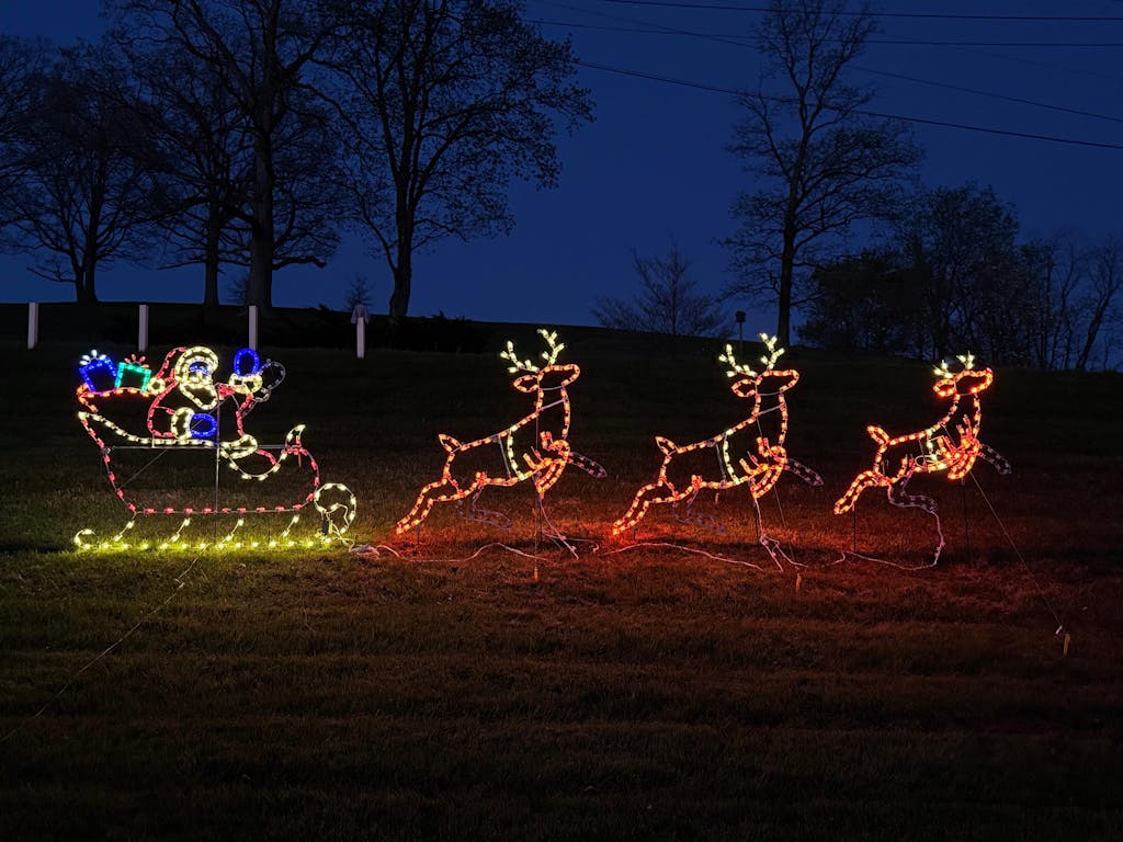 Animated Santa Clause and Sleigh Light Motif - HolidayLights.com