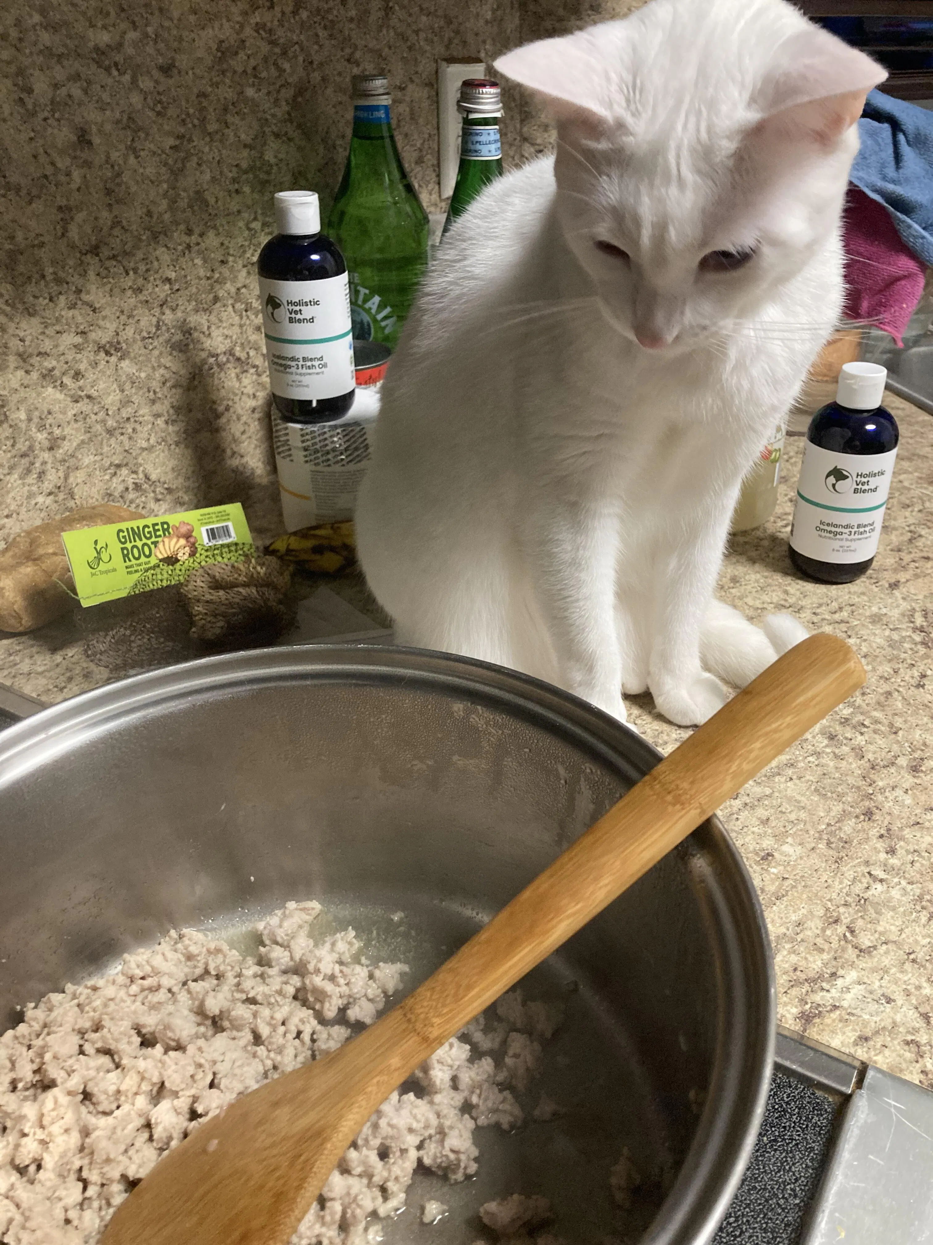 Feline Premix | Holistic Vet Blend
