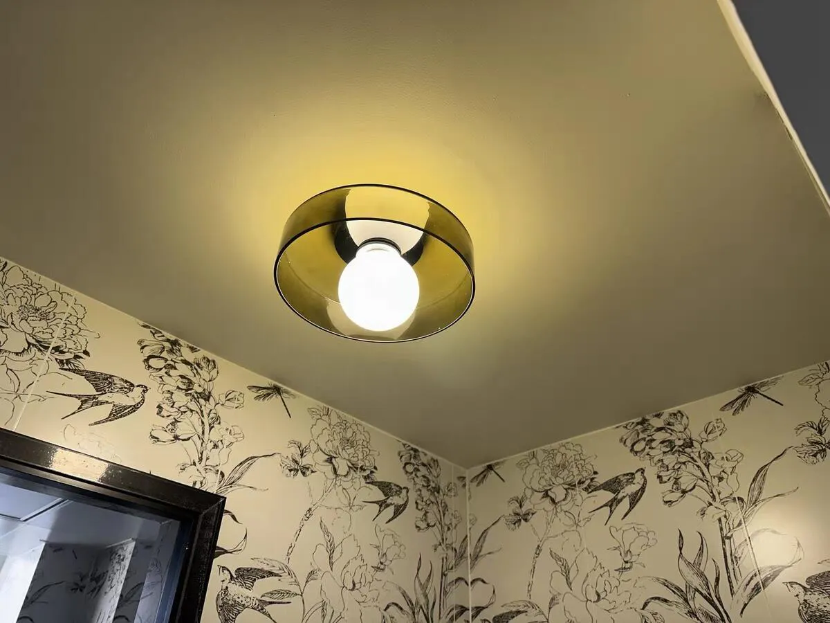 Homdiy Flush Mount Ceiling Light Contemporary Glass Ceiling Lamps