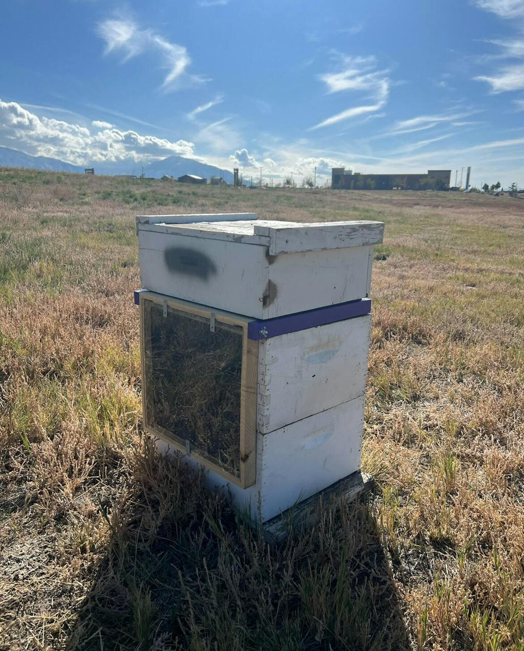 HiveHeater™ |Honey Haven Supply|