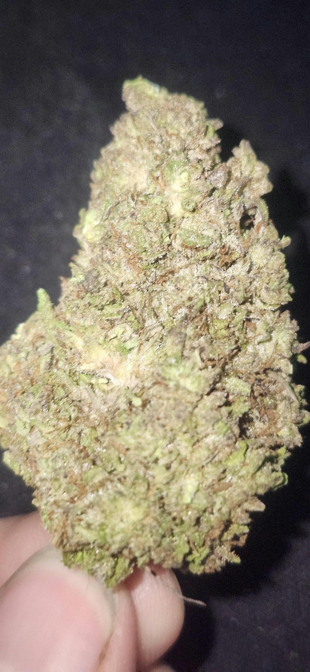 Blue Orchid Hemp Flower | CBD I Horn Creek Hemp