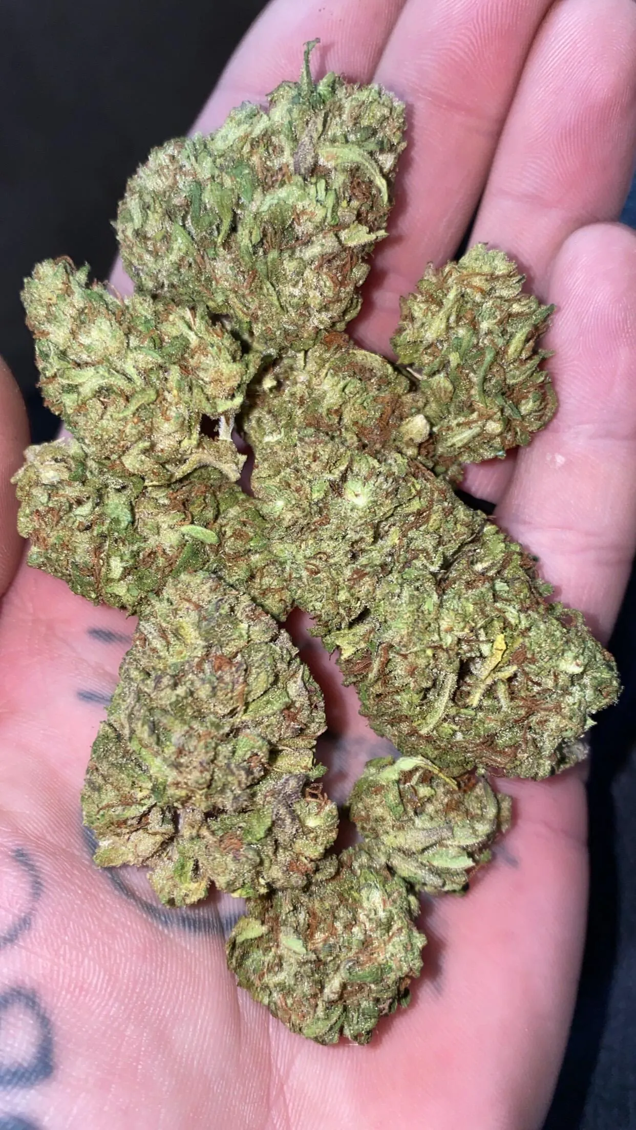 Classic Cookies Flower | Horn Creek Hemp