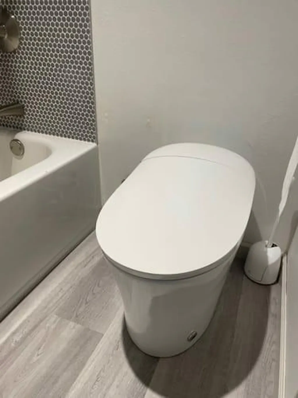 HOROW Smart Toilet With Heated Bidet Dual Flush Toilet Model T16