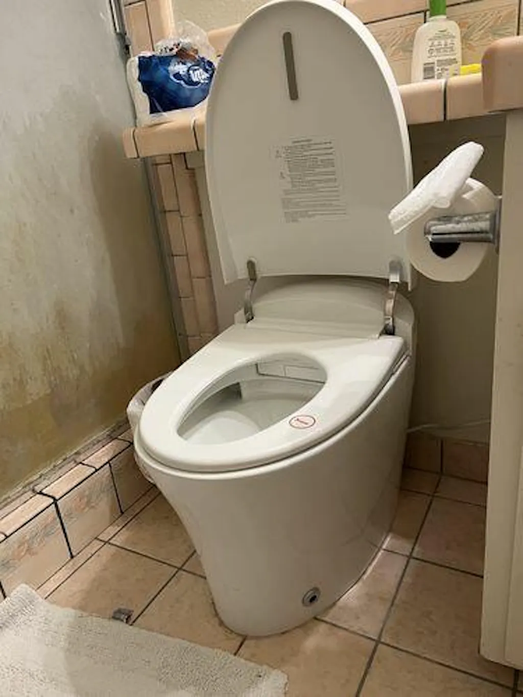 HOROW Small Toilet 1.28 GPF 10 Inch Rough In Toilet Model 8733-10