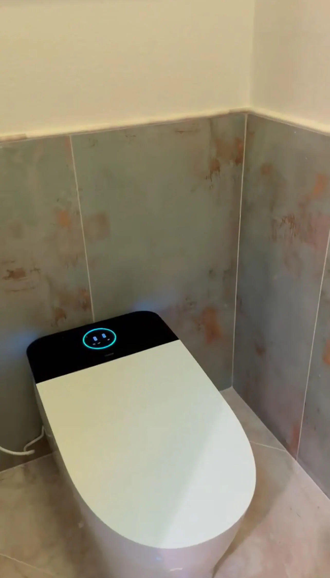 Toilet and bidet combo | Smart bidet toilet | HOROW smart Toilet