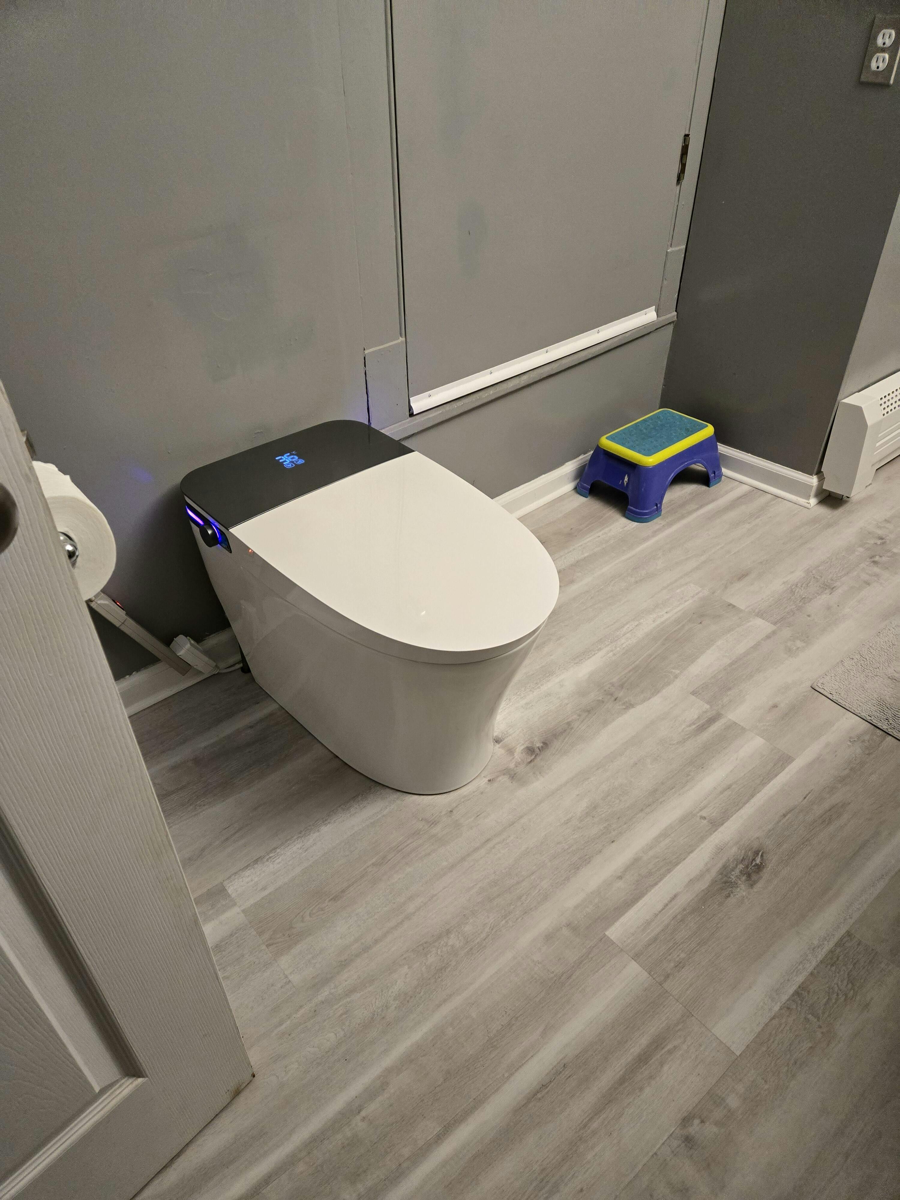 Smart Bidet Toilet | 10 Inch Rough In Toilet | HOROW One Piece Toilet