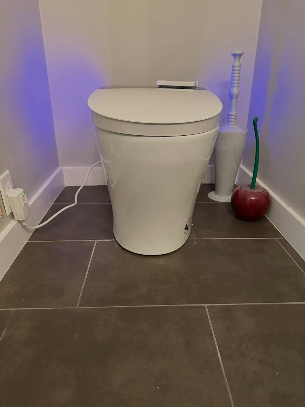 Smart Bidet Toilet | 10 Inch Rough In Toilet | HOROW One Piece Toilet