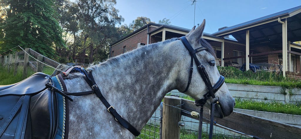 Double Neck Strap – CorrectConnect