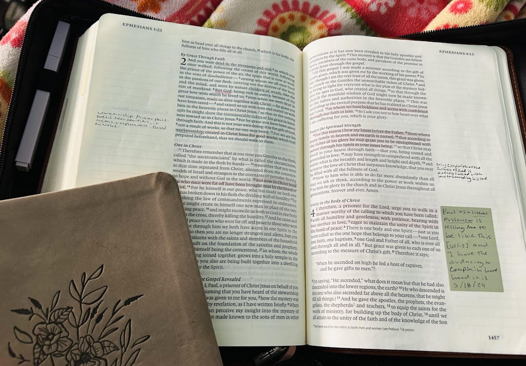 ESV Large Print Journaling Bible: Sierra Theme | Hosanna Revival