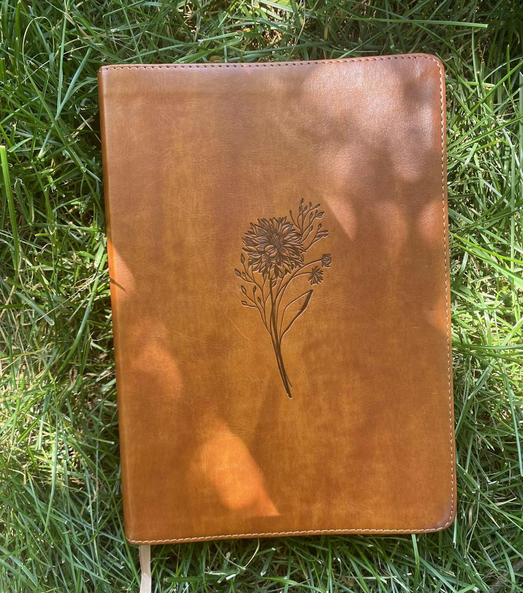 ESV Large Print Journaling Bible: Sierra Theme | Hosanna Revival