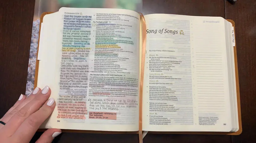 CSB Notetaking Bible: Amelia Theme | Hosanna Revival B2B