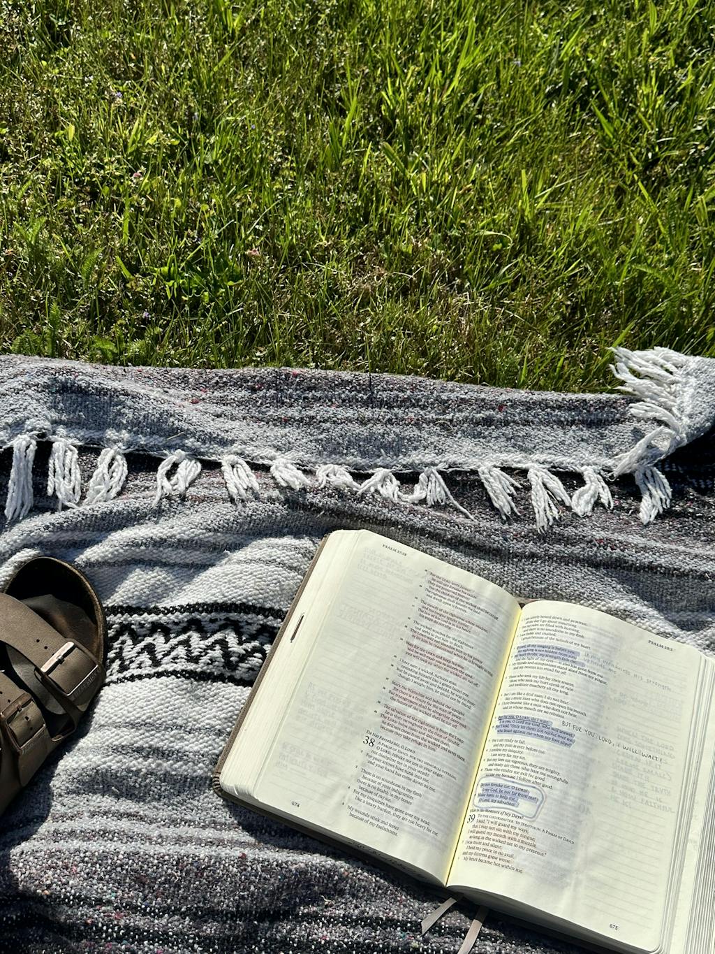 ESV Large Print Journaling Bible: Nara Theme | Hosanna Revival