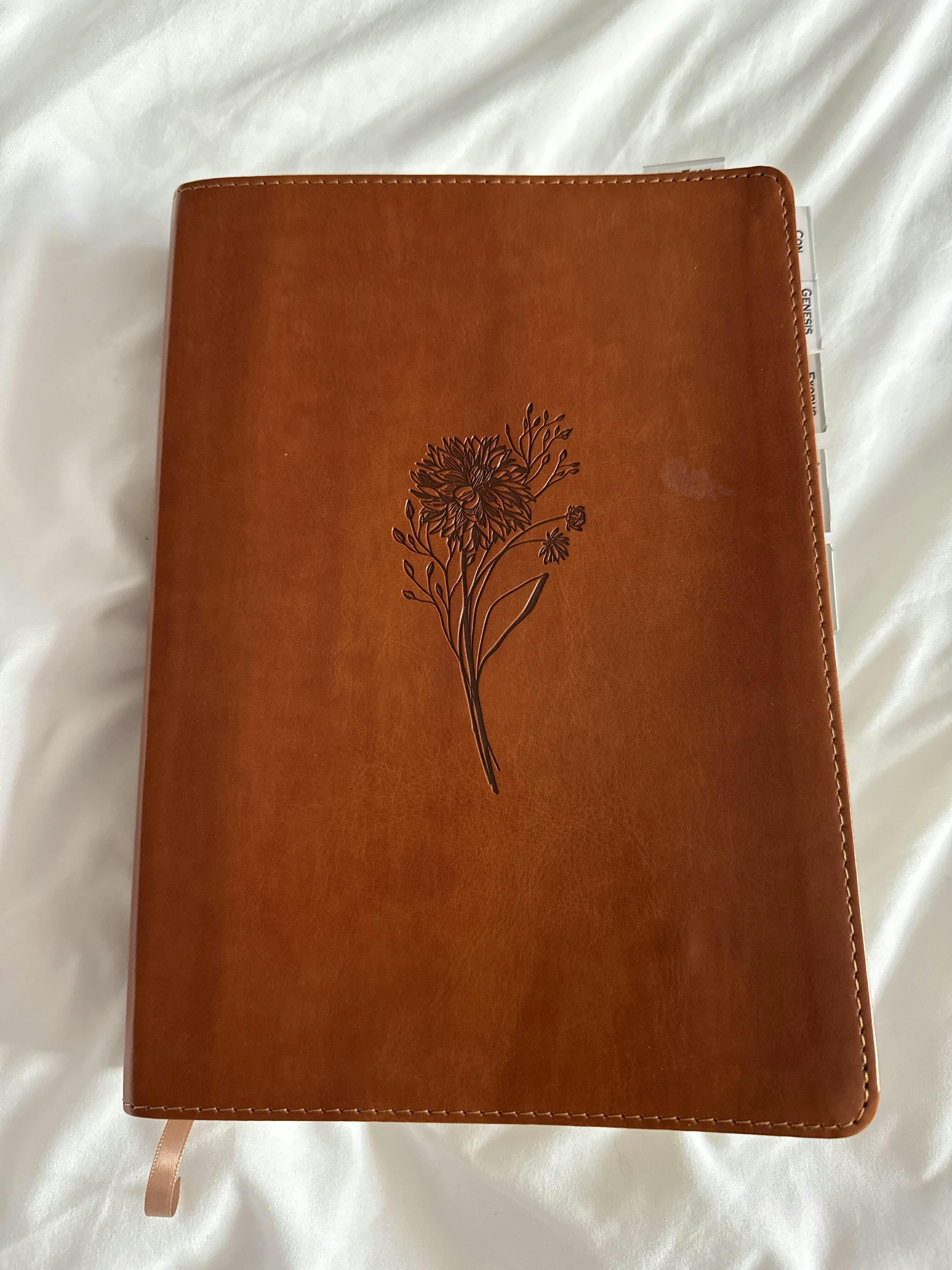 ESV Large Print Journaling Bible: Sierra Theme | Hosanna Revival