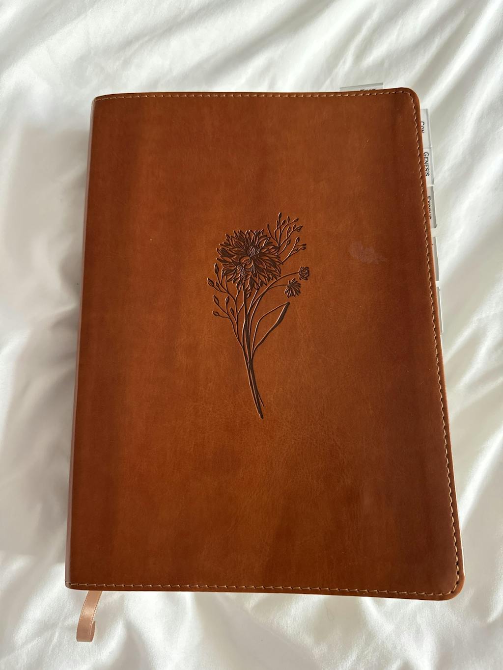 ESV Large Print Journaling Bible: Sierra Theme | Hosanna Revival