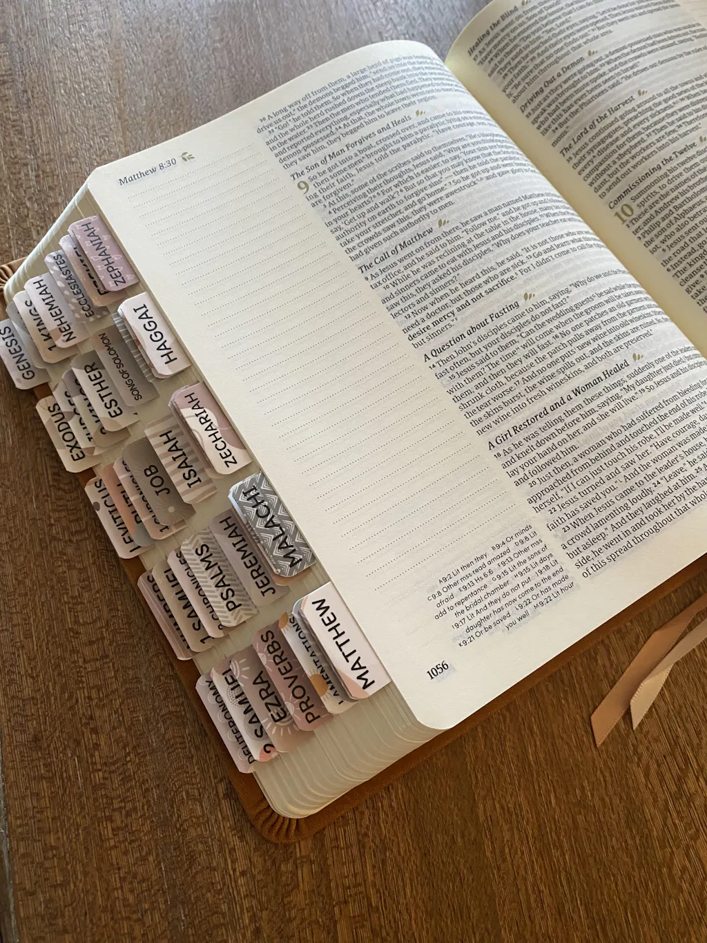 CSB Notetaking Bible: Amelia Theme | Hosanna Revival