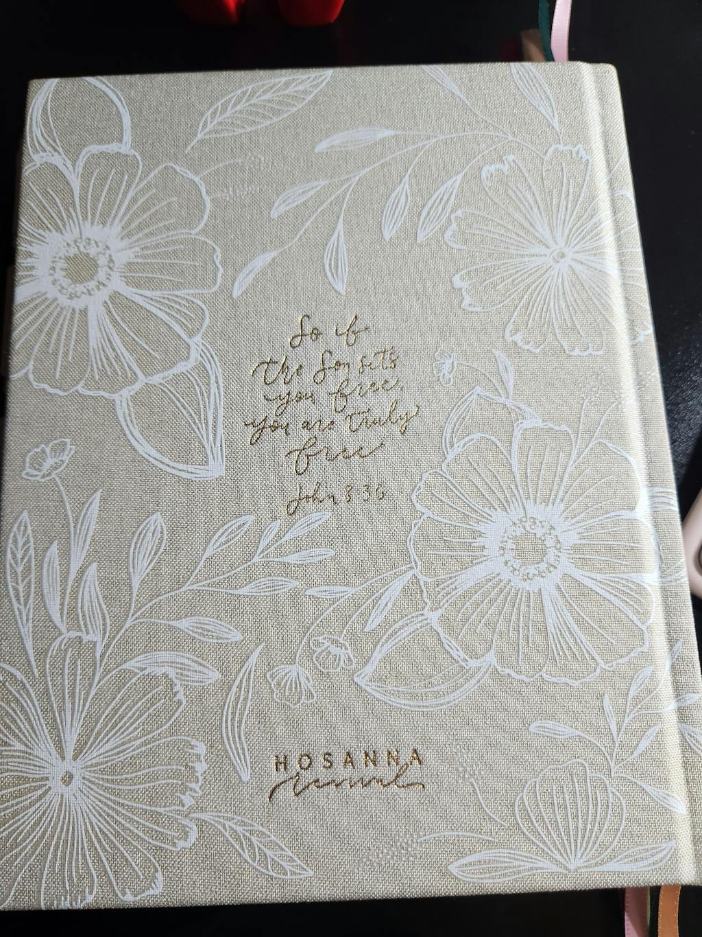 NLT Notetaking Bible: Cordova Theme | Hosanna Revival