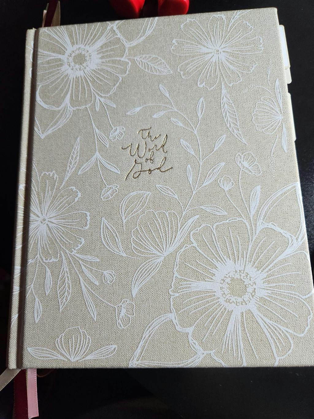 NLT Notetaking Bible: Cordova Theme | Hosanna Revival