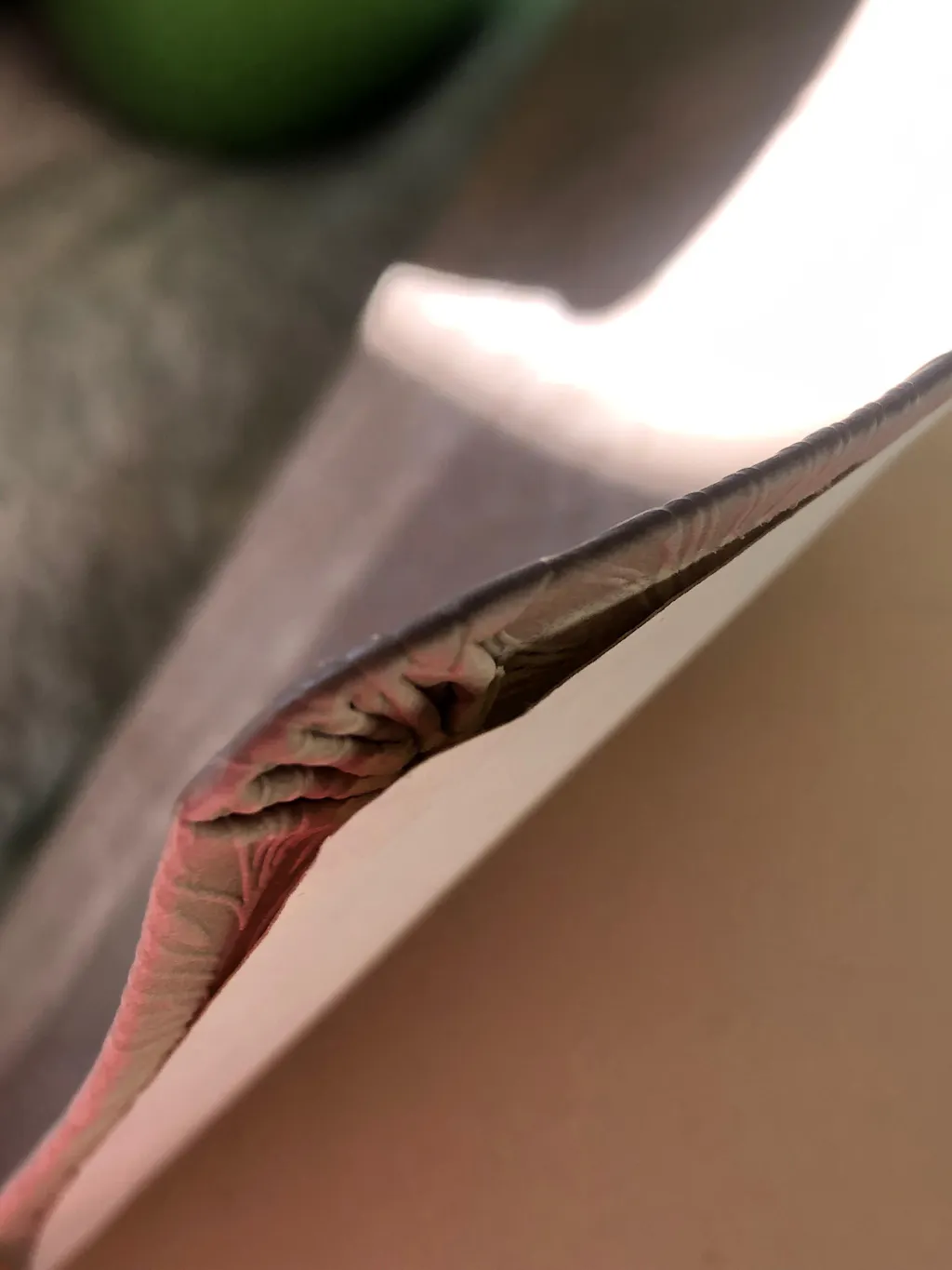 NLT Compact Bible: Sonora Theme | Hosanna Revival