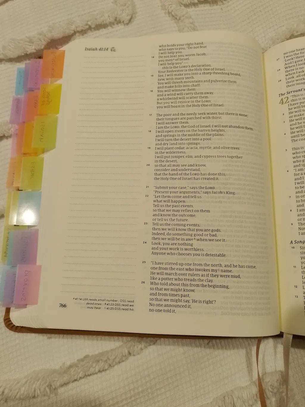 CSB Notetaking Bible: Amelia Theme | Hosanna Revival