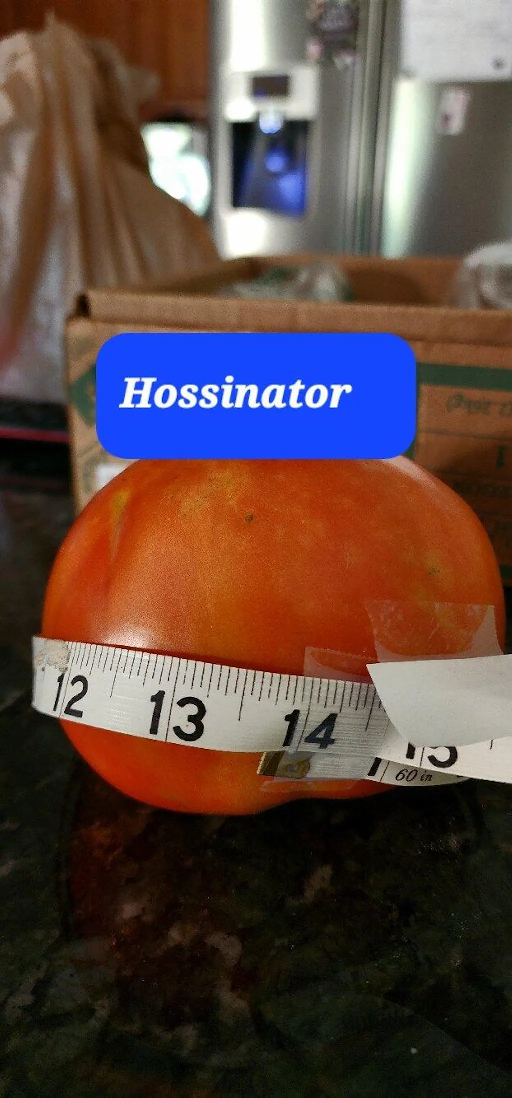 Red Snapper Hybrid Tomato F1 – HOSS