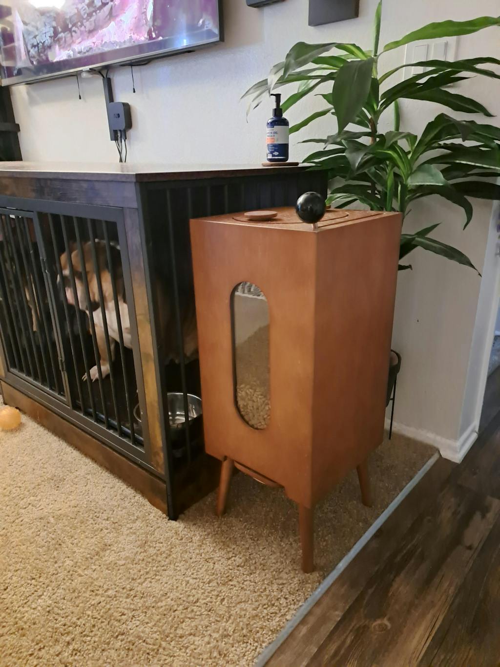 Houndsy Kibble Dispenser