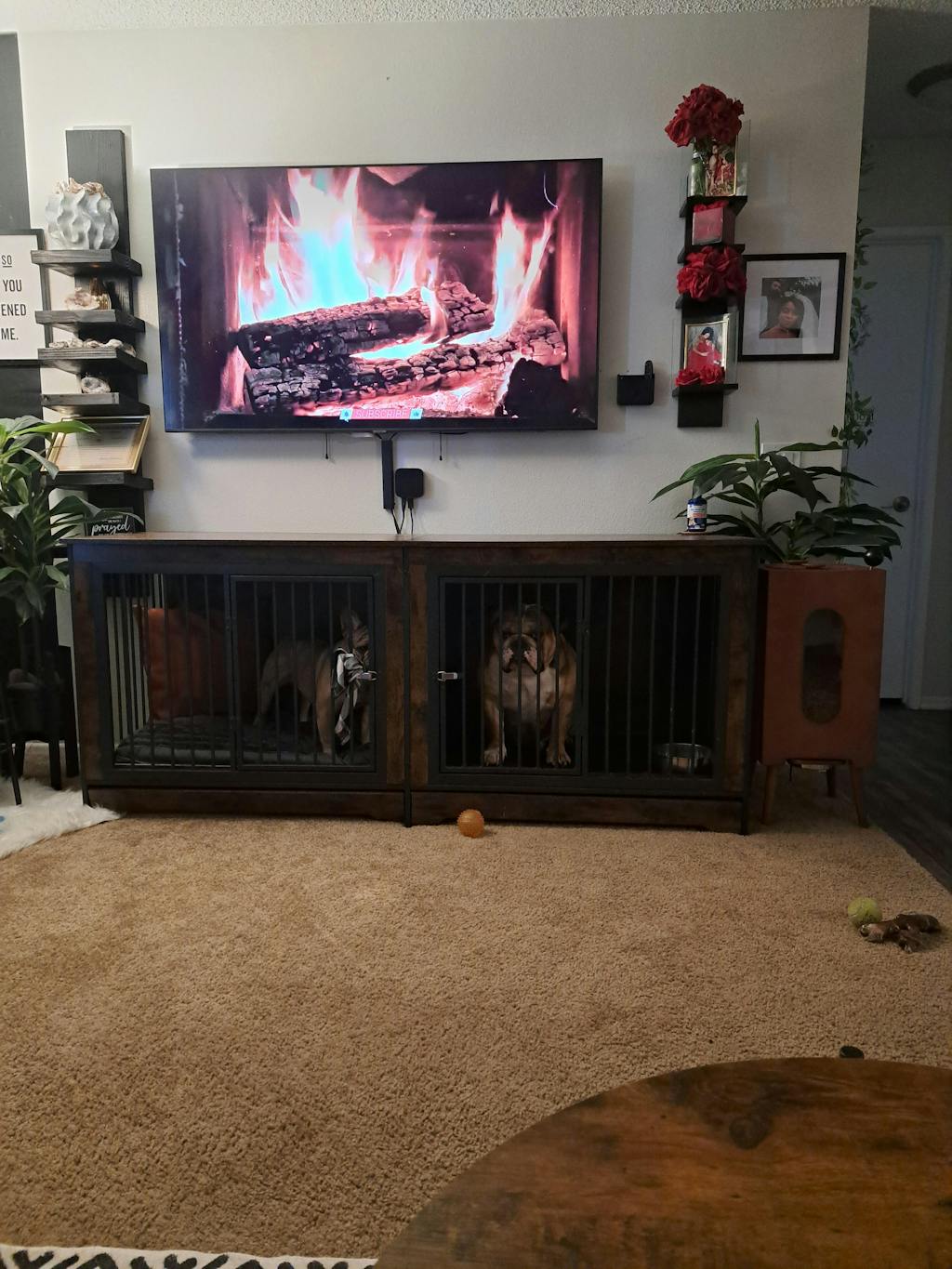 Houndsy Kibble Dispenser