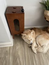 Houndsy Kibble Dispenser