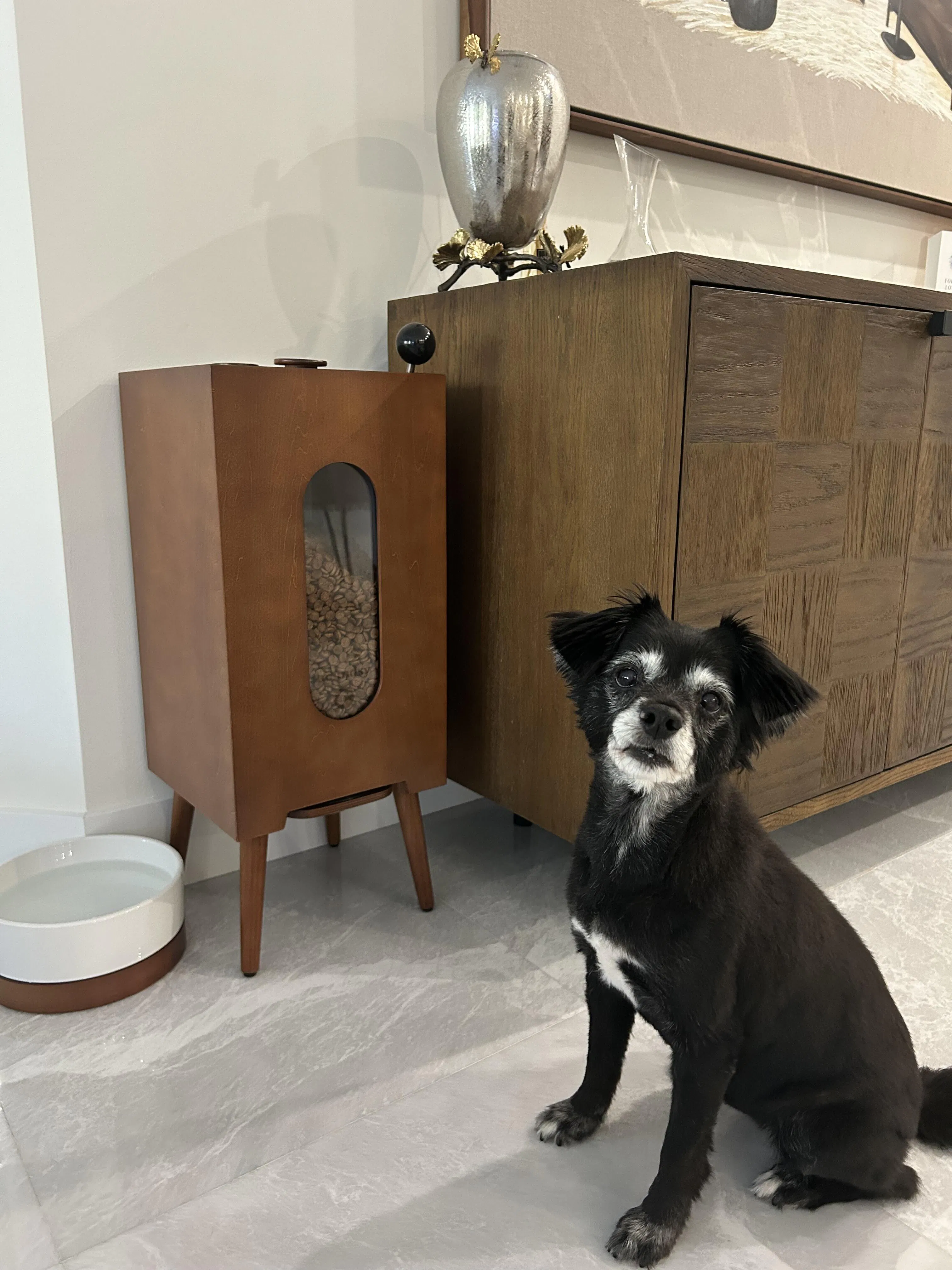 Houndsy Kibble Dispenser