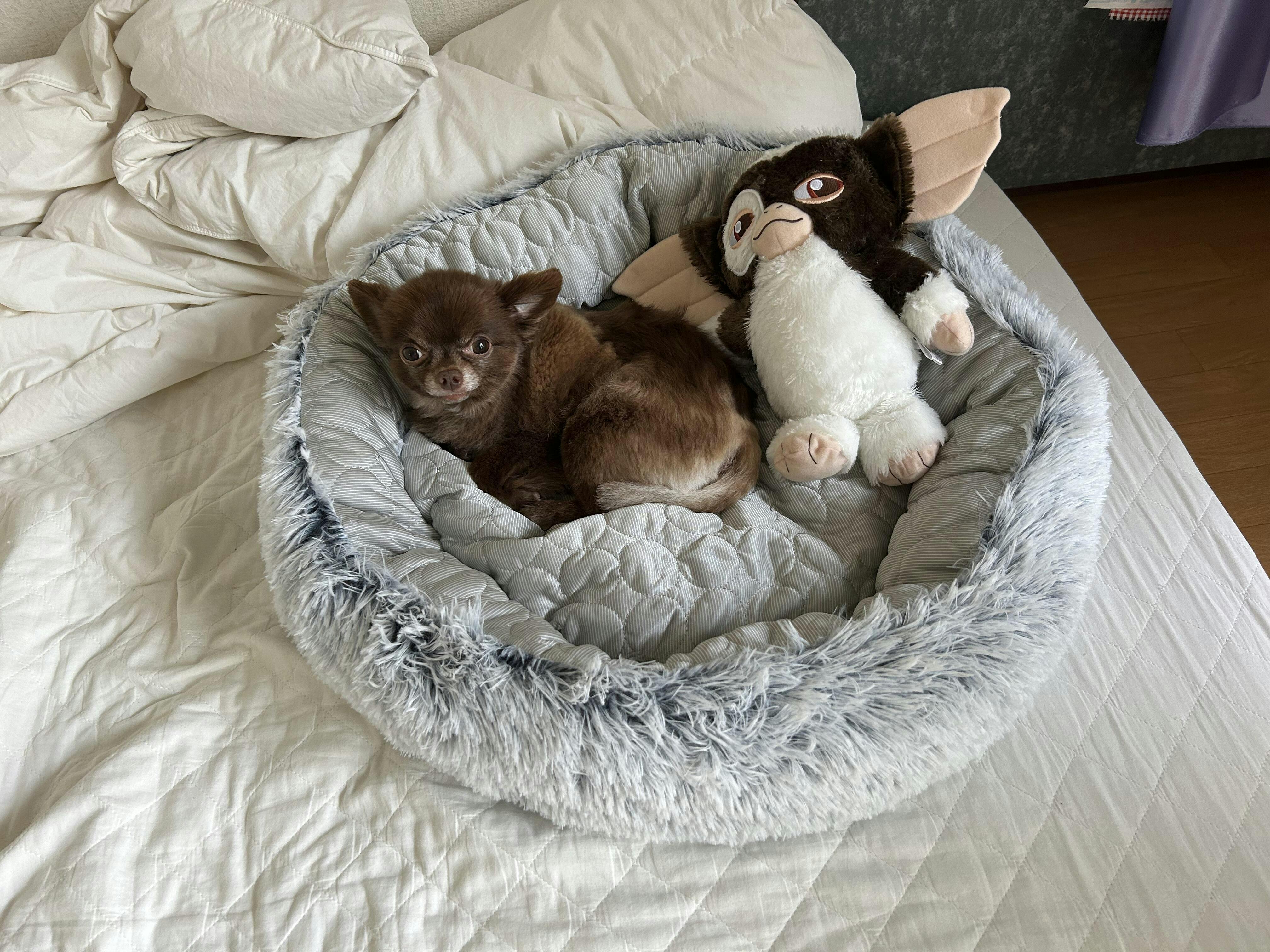 【癒しのベッドPRO™】 – HuggySleep™