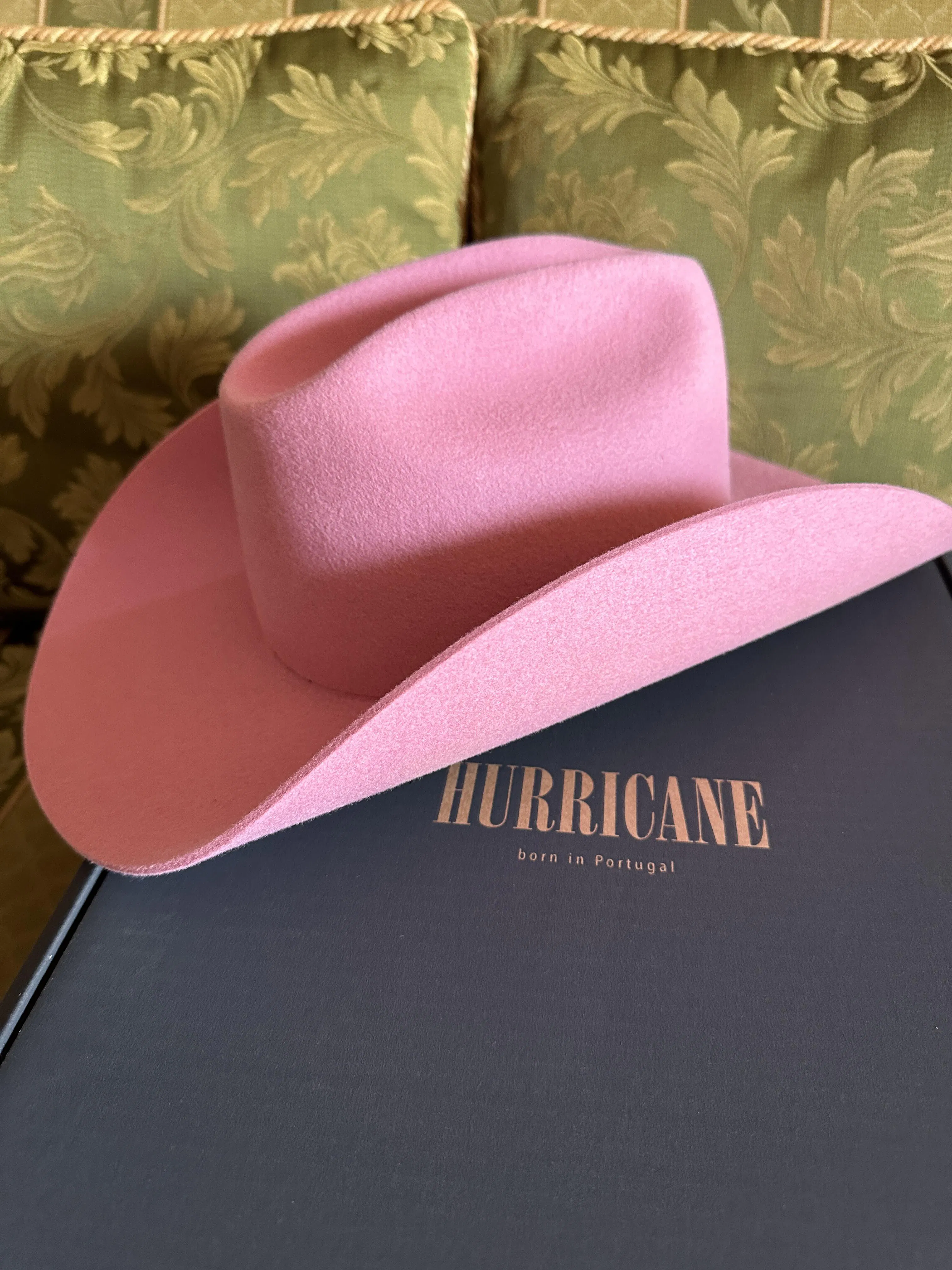 The Harvey Black Horse Gold - Western Hat | Hurricane – Hurricane Lab