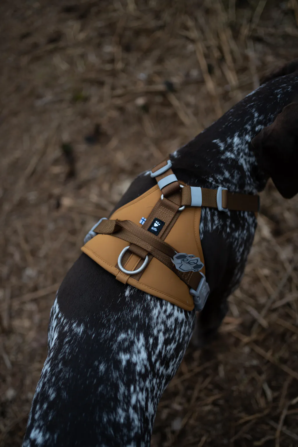 Hurtta Weekend Warrior Dog Harness II ECO – Hurtta.com