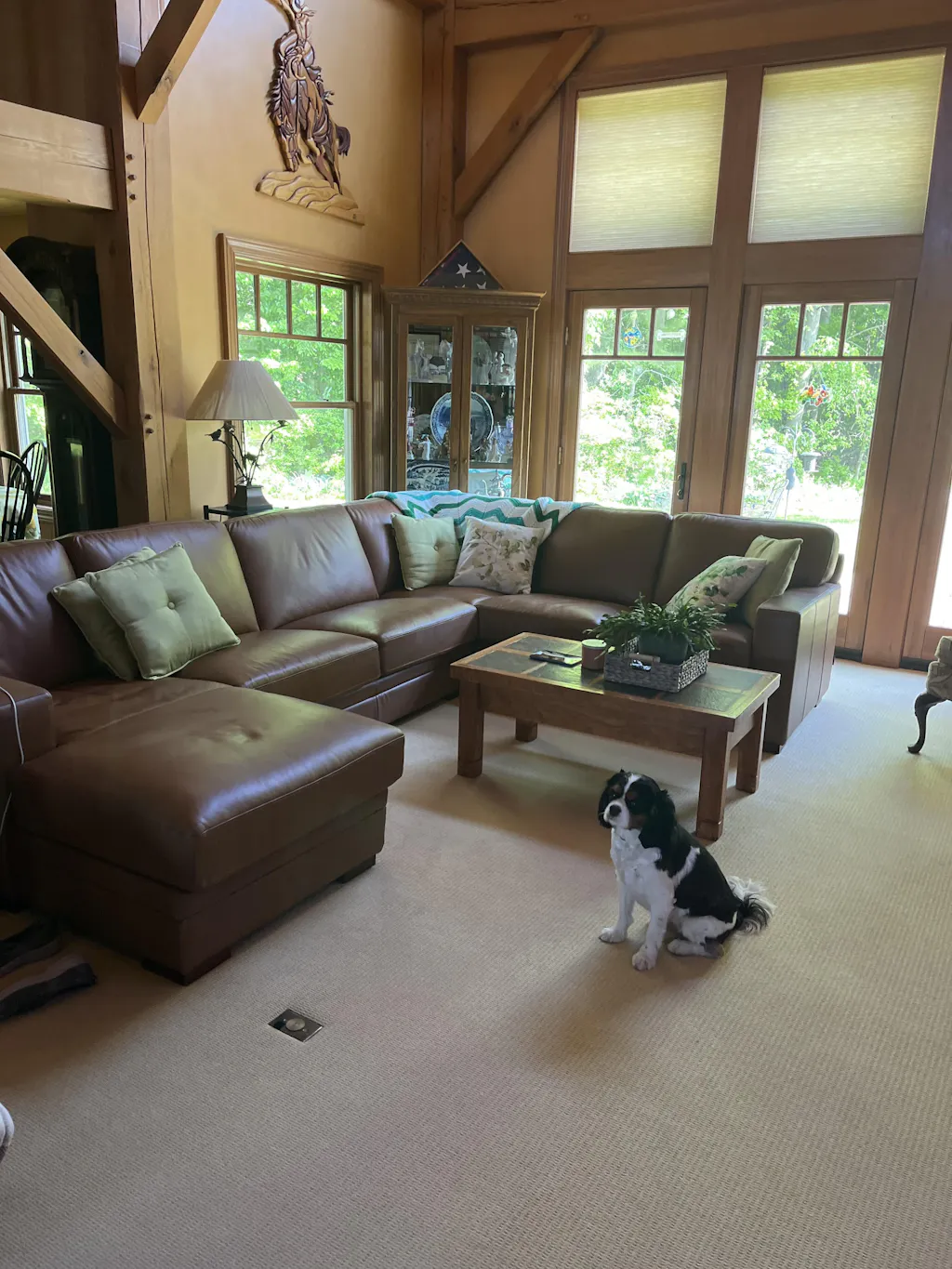 Dillon Leather Sectional Collection | Hydeline USA