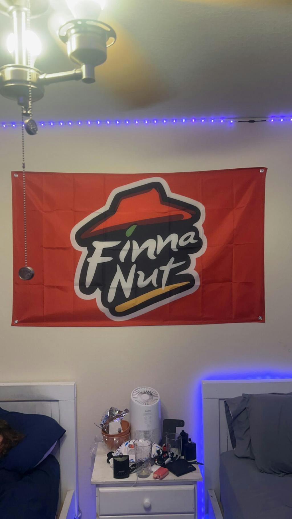 Hype Flags - Finna Nut Flag | Meme Flag Flag for Guys Dorm Room – HypeFlags