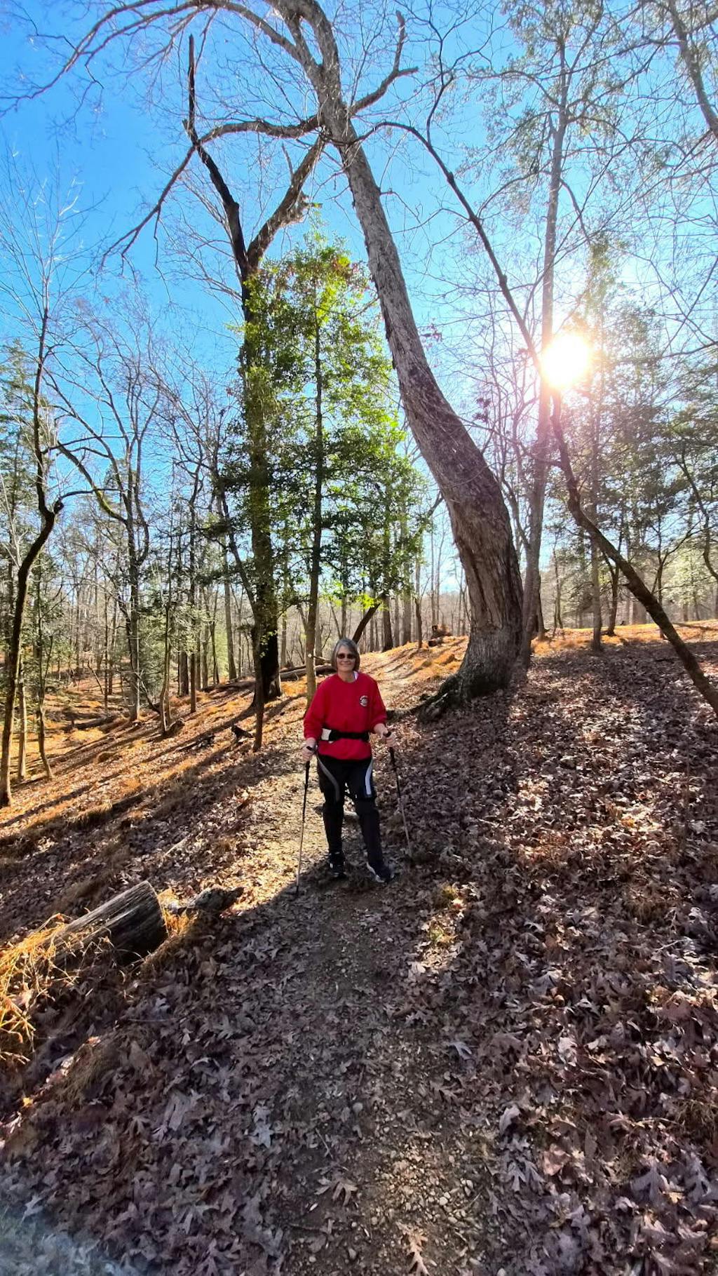 Buy Hypershell X | Official Website - Shipping to USA – Hypershell Global