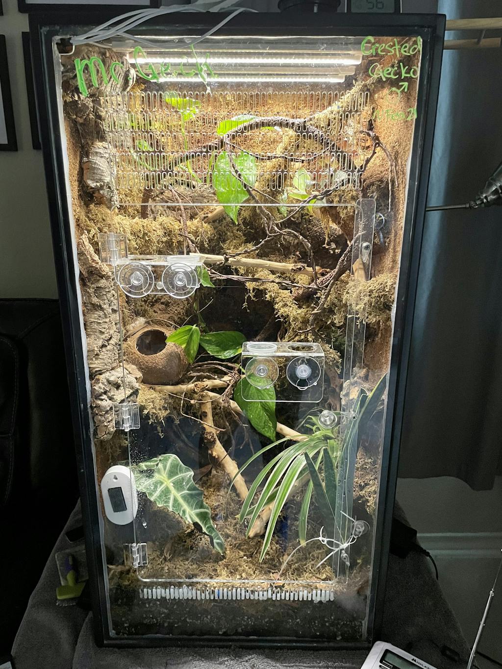 40 Gallon Breeder Aquarium Gecko/Arboreal Conversion Kit – I Heart Geckos