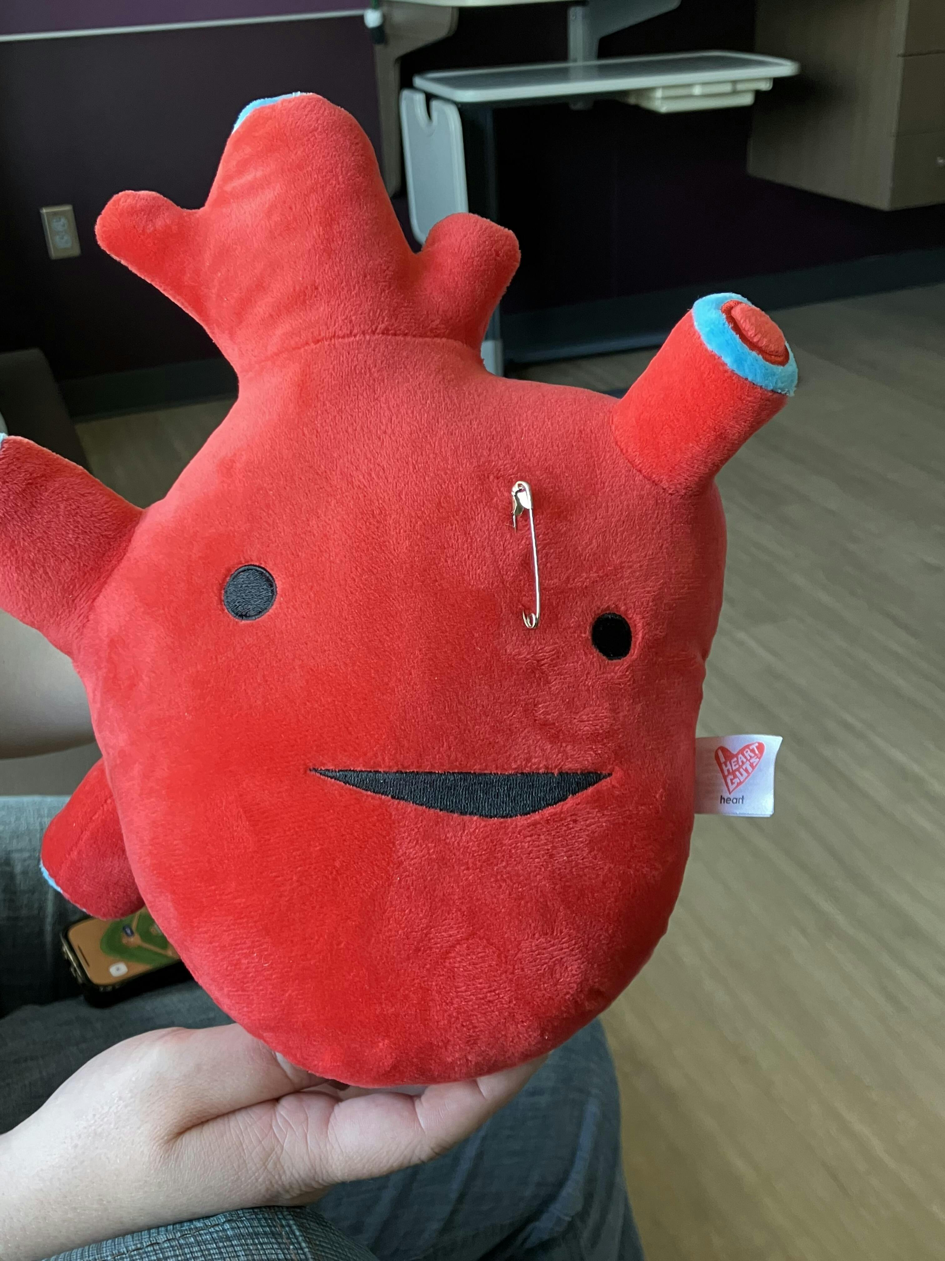 Heart Plushie - I Got The Beat! - Plush Organ Stuffed Toy Pillow | I ...