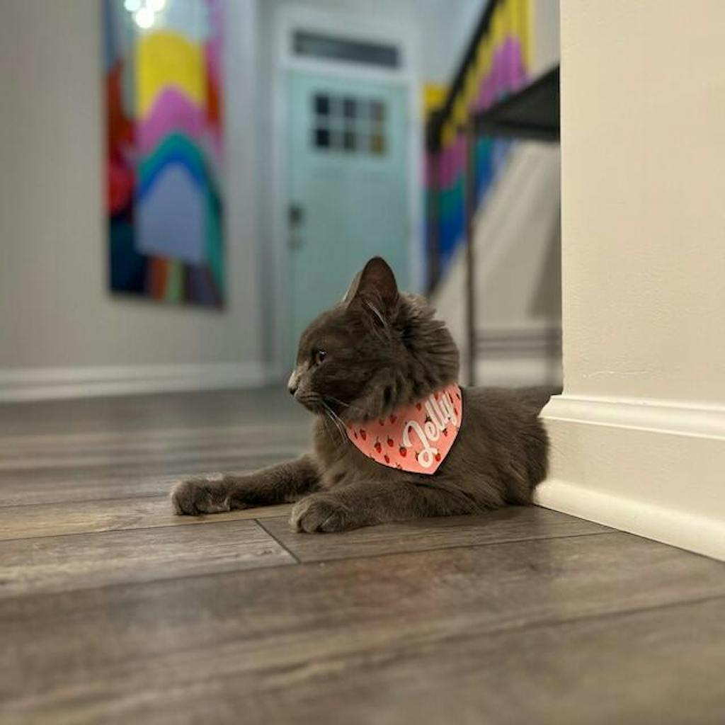 Metallic Rose Gold Plaid Bandana - Tie on Classic Pet Bandana Scarf ...