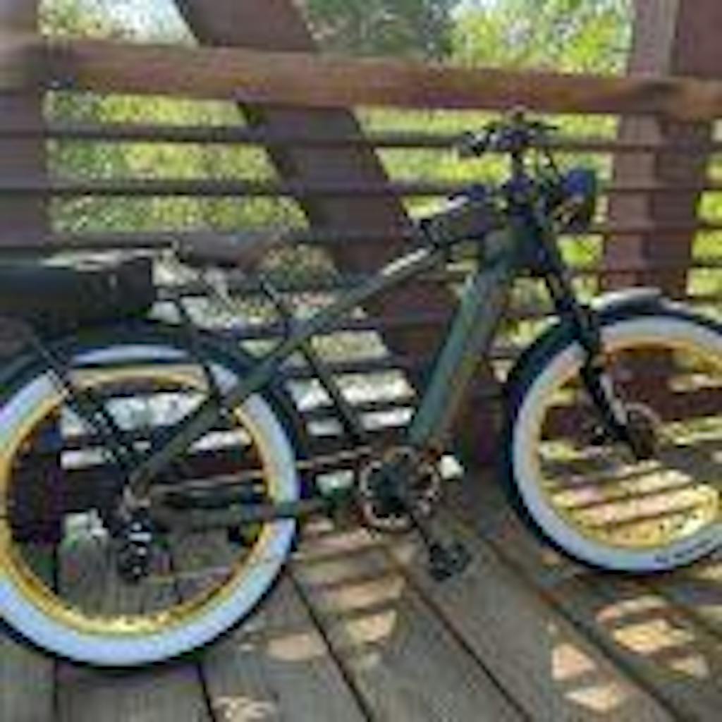 Iconic Electric Cruiser – Iconic Ebikes