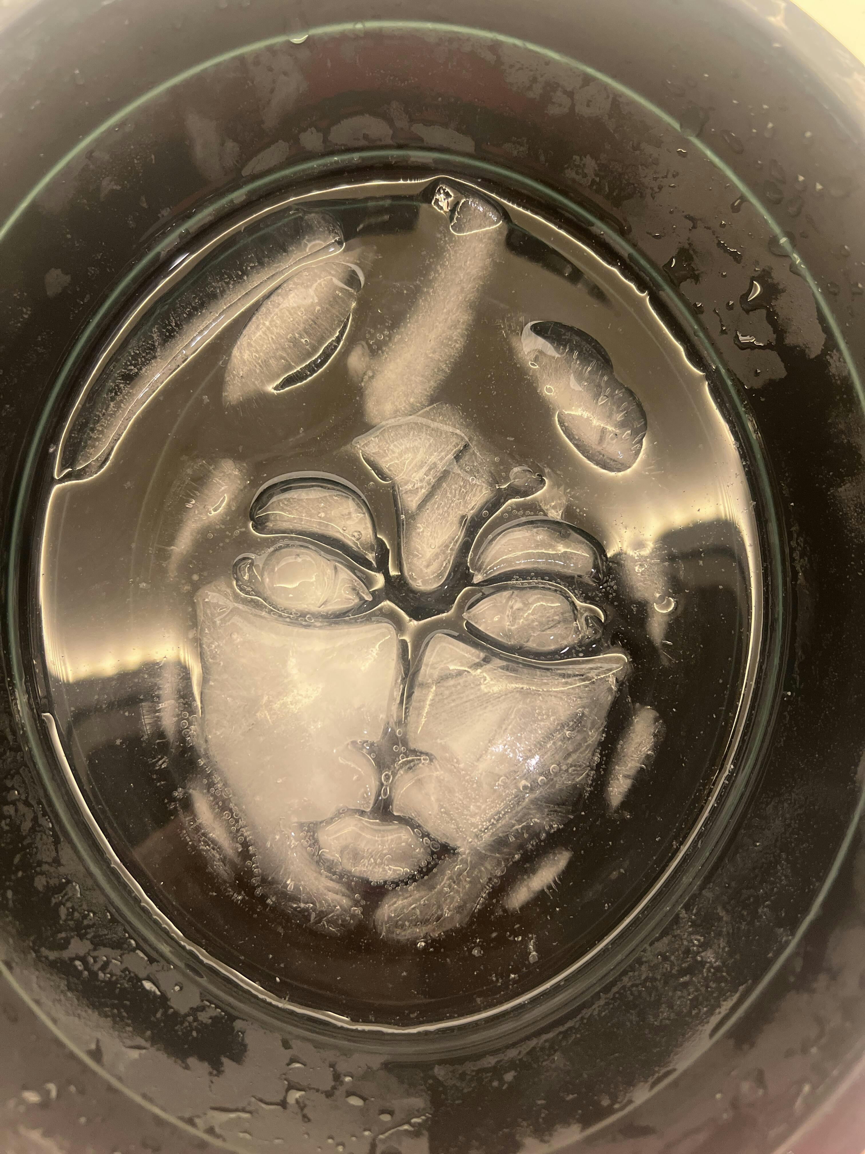 Icy-Mojo™ | Ice Bath for Face - Reduce Puffiness & Tighten Skin