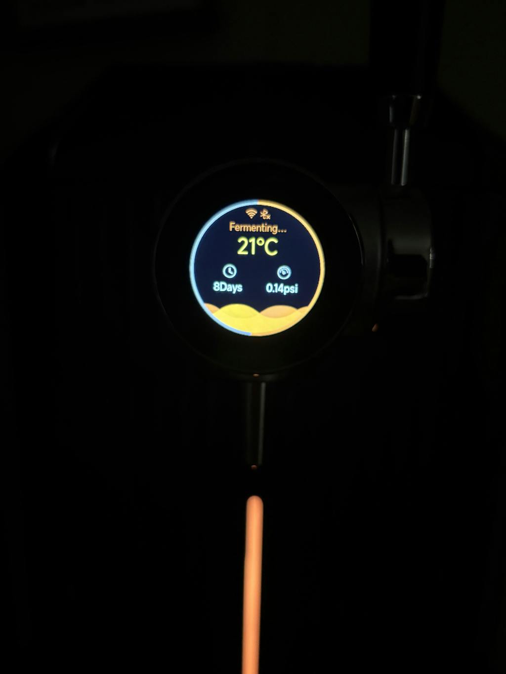 iGulu Kombucha Brewer Bundle | Healthy Fermentation