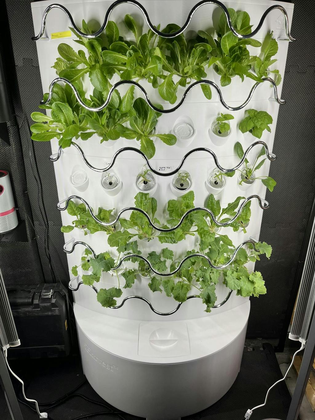 Net Cup Solid Covers – IGWorks