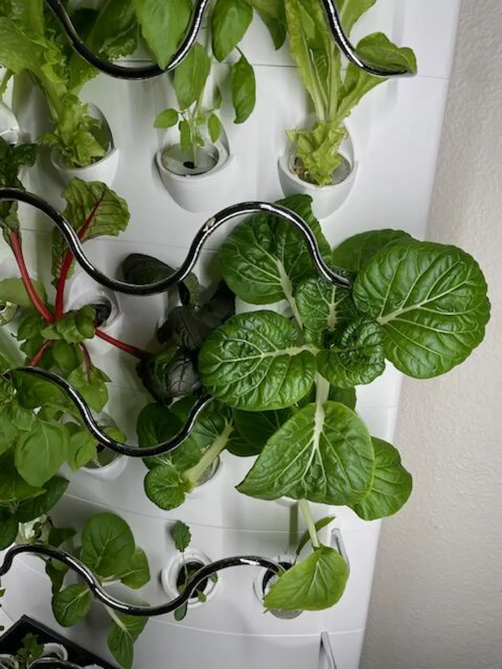 The iHarvest® Complete Package | Indoor garden system kit – IGWorks